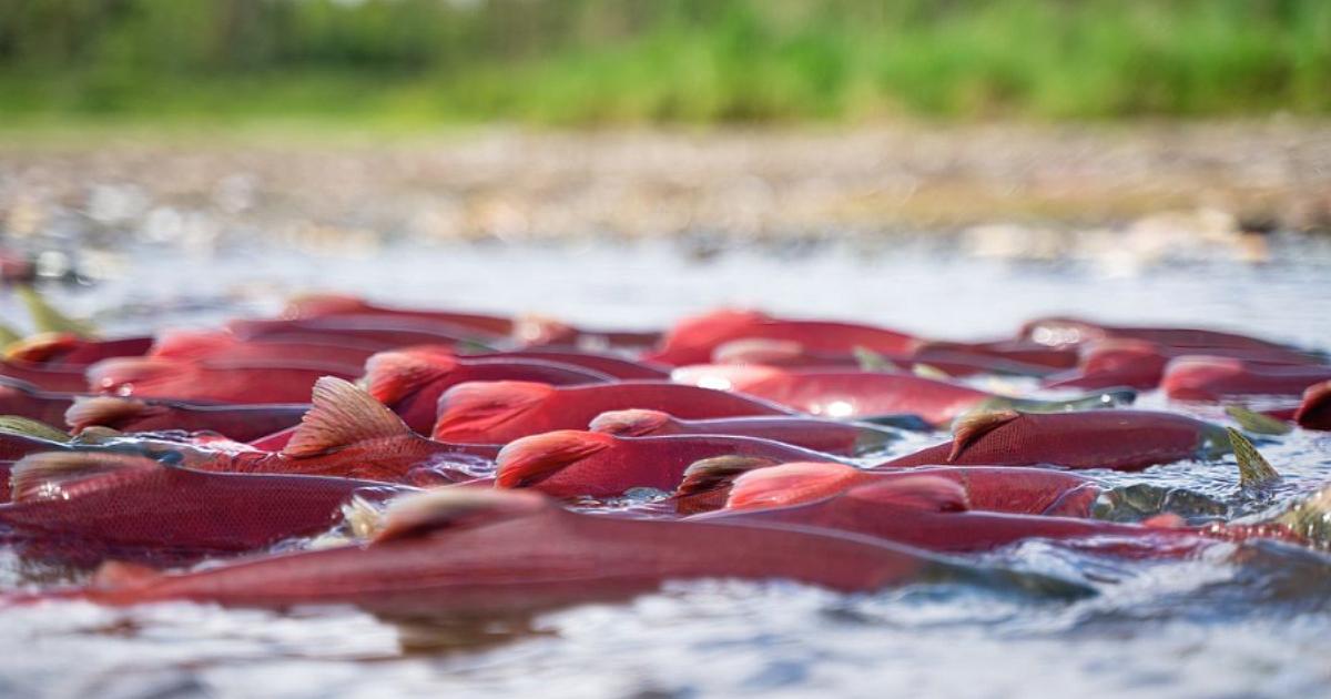 Stormy seas in the Sunshine State | Wildtype