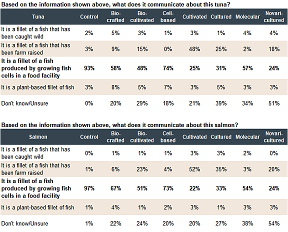 Labeling the future: ______ salmon | Wildtype